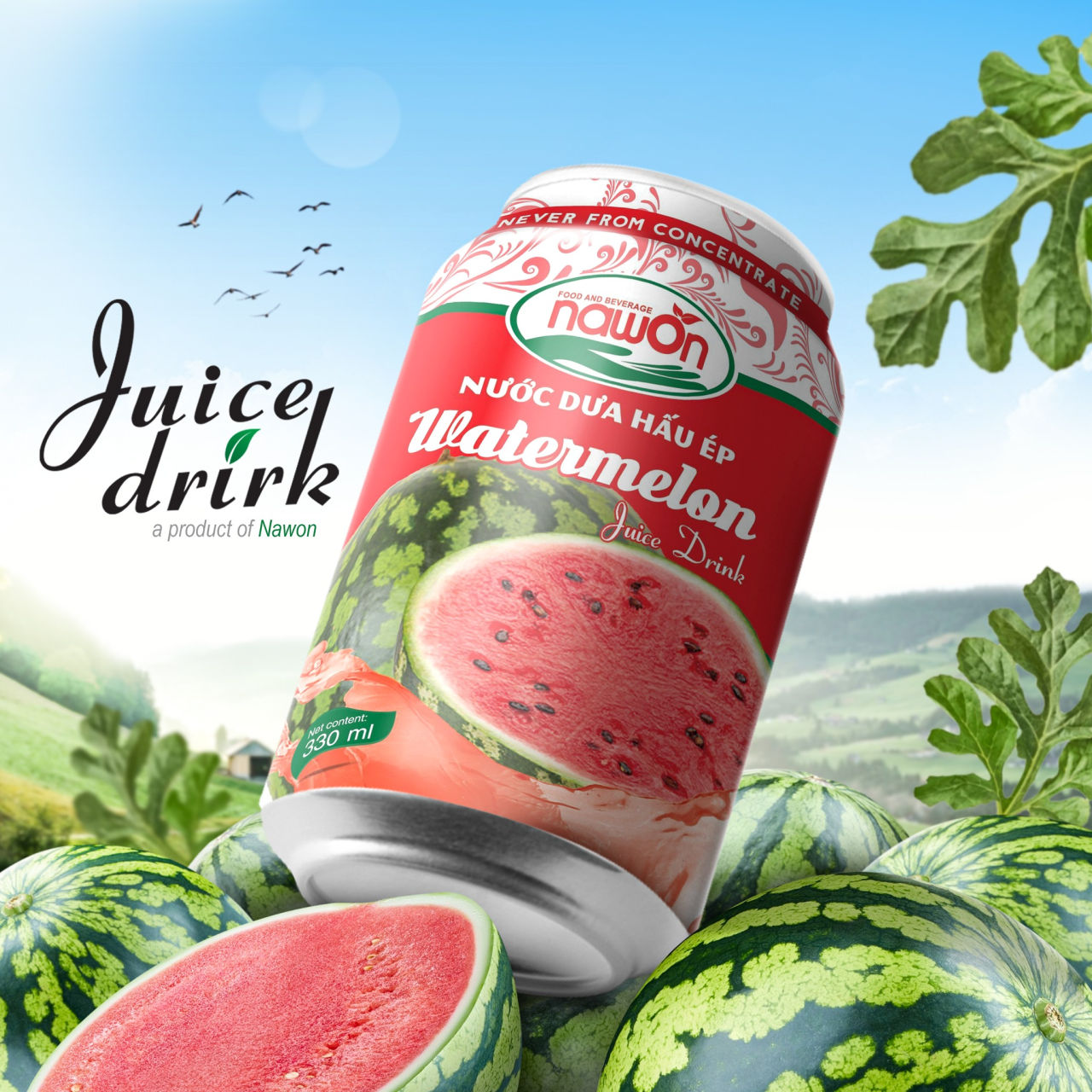 Watermelon Juice - Nawon